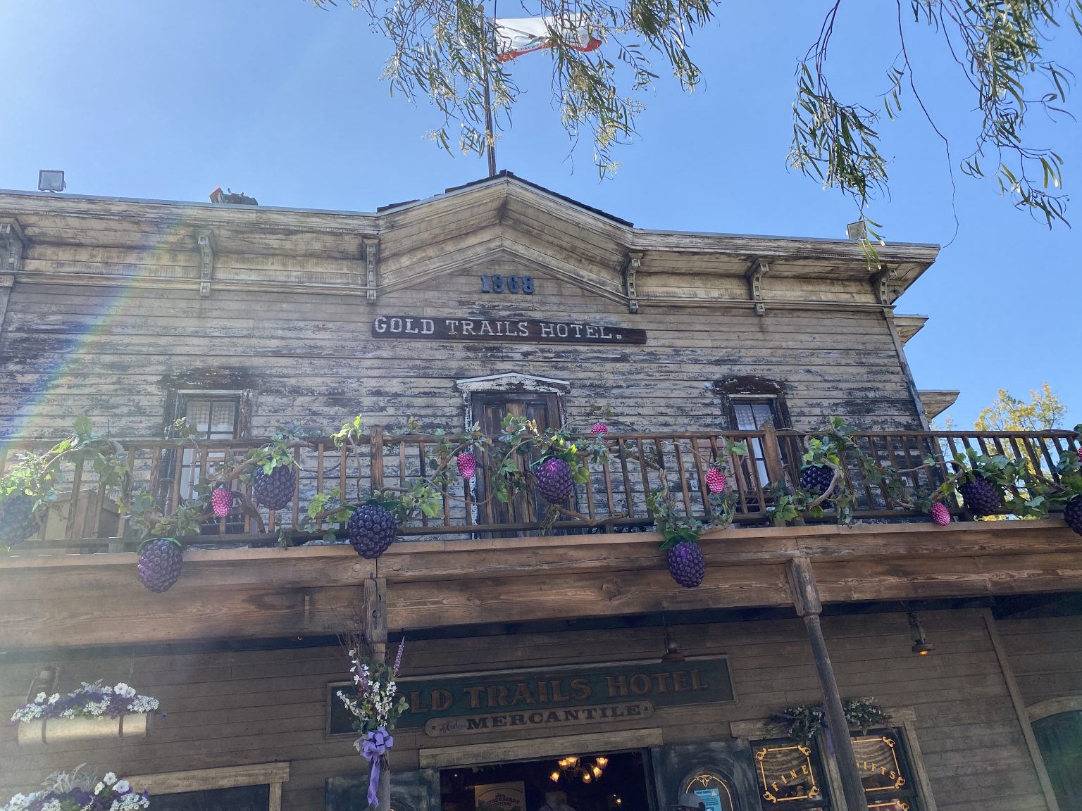 Blog - Denise M. Colby, Writer