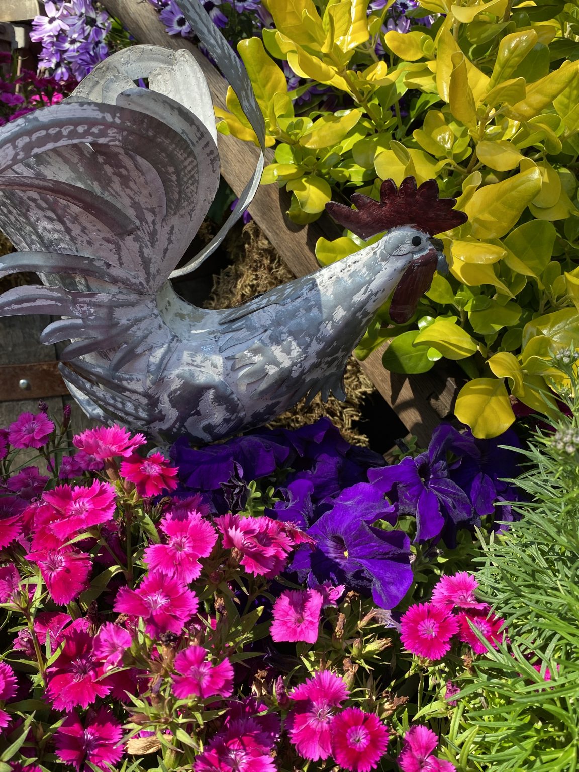 Blog - Denise M. Colby