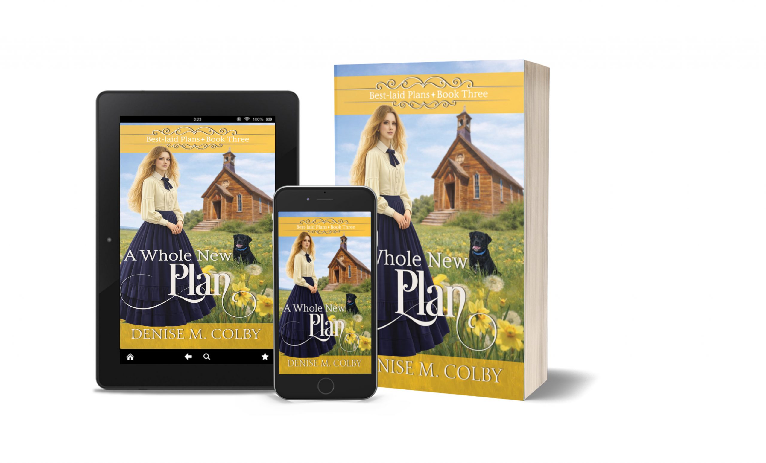 Best-laid Plans Series - Denise M. Colby
